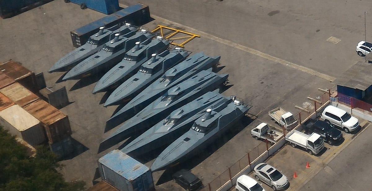 Proindicus and MAM guarantees ruled unconstitutional - Zitamar