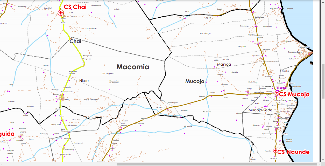 Insurgents rampage through villages of coastal Macomia - Zitamar