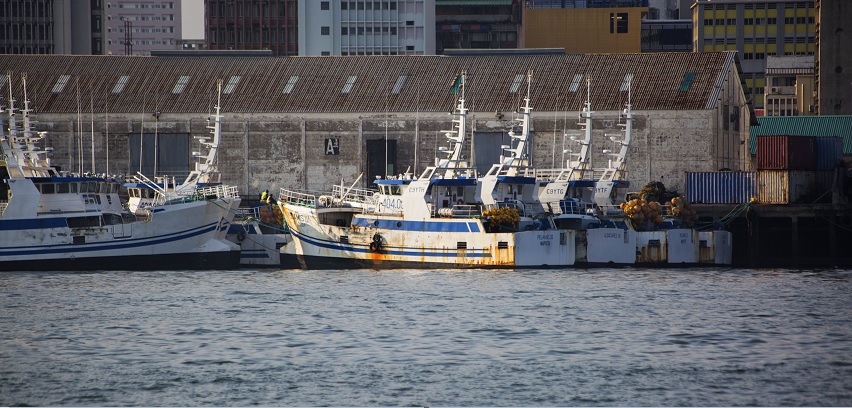 Gas hook taken out of Mozambique tuna bond - Zitamar