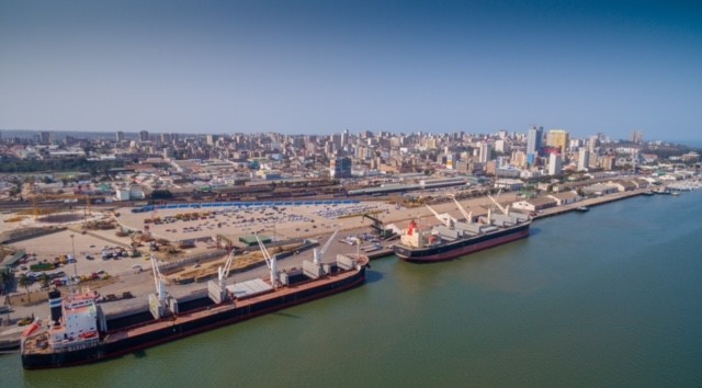 New citrus terminal to open at expanding Maputo Port - Zitamar