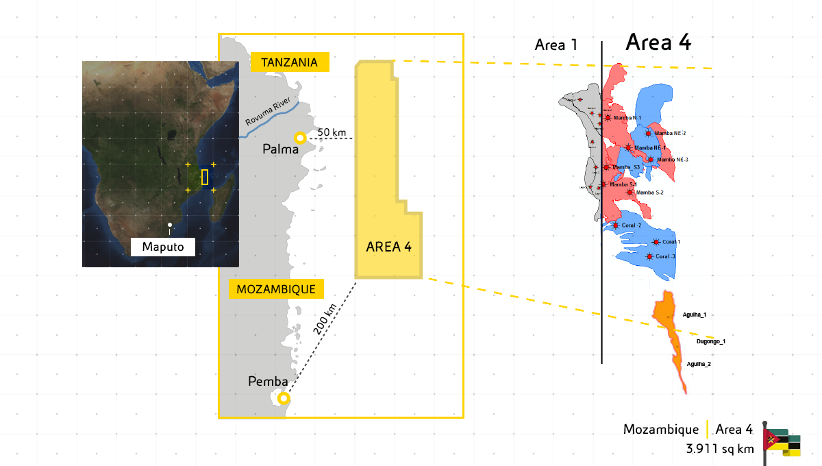ExxonMobil sets a date for Mozambique LNG investment decision - Zitamar