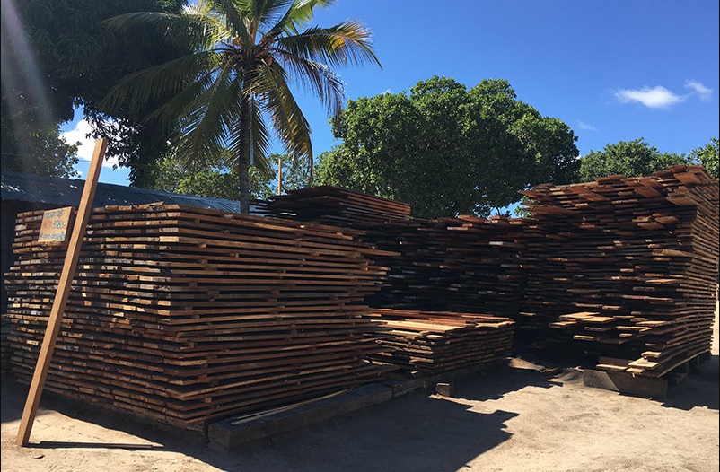 Obtala says Mozambique timber production to increase eight-fold next ...