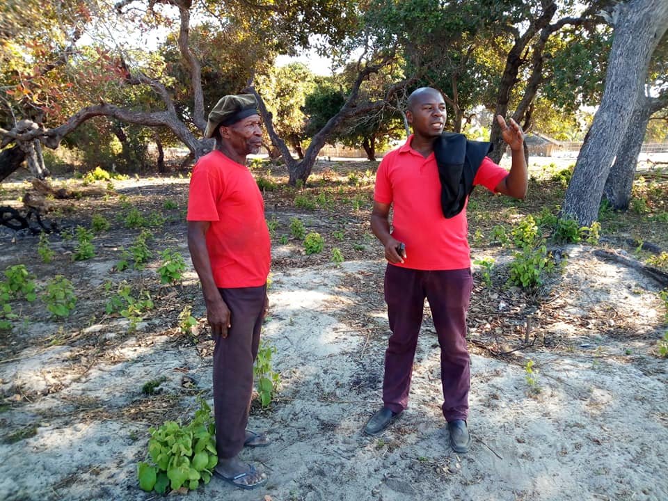 Uncaught Tuna: Free Amade Abubacar - Zitamar