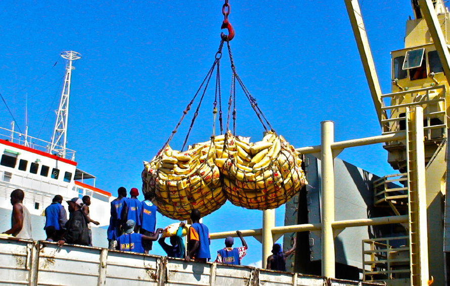 Beira Port tightens ammonium nitrate unloading rules - Zitamar